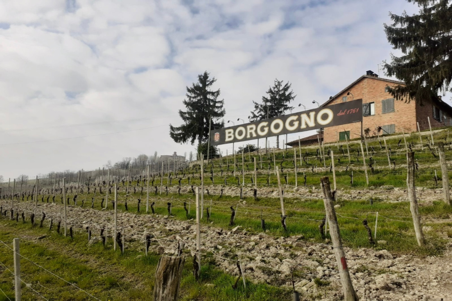 New Faces, New Flavors – How Borgogno’s Young Leadership is Redefining ...