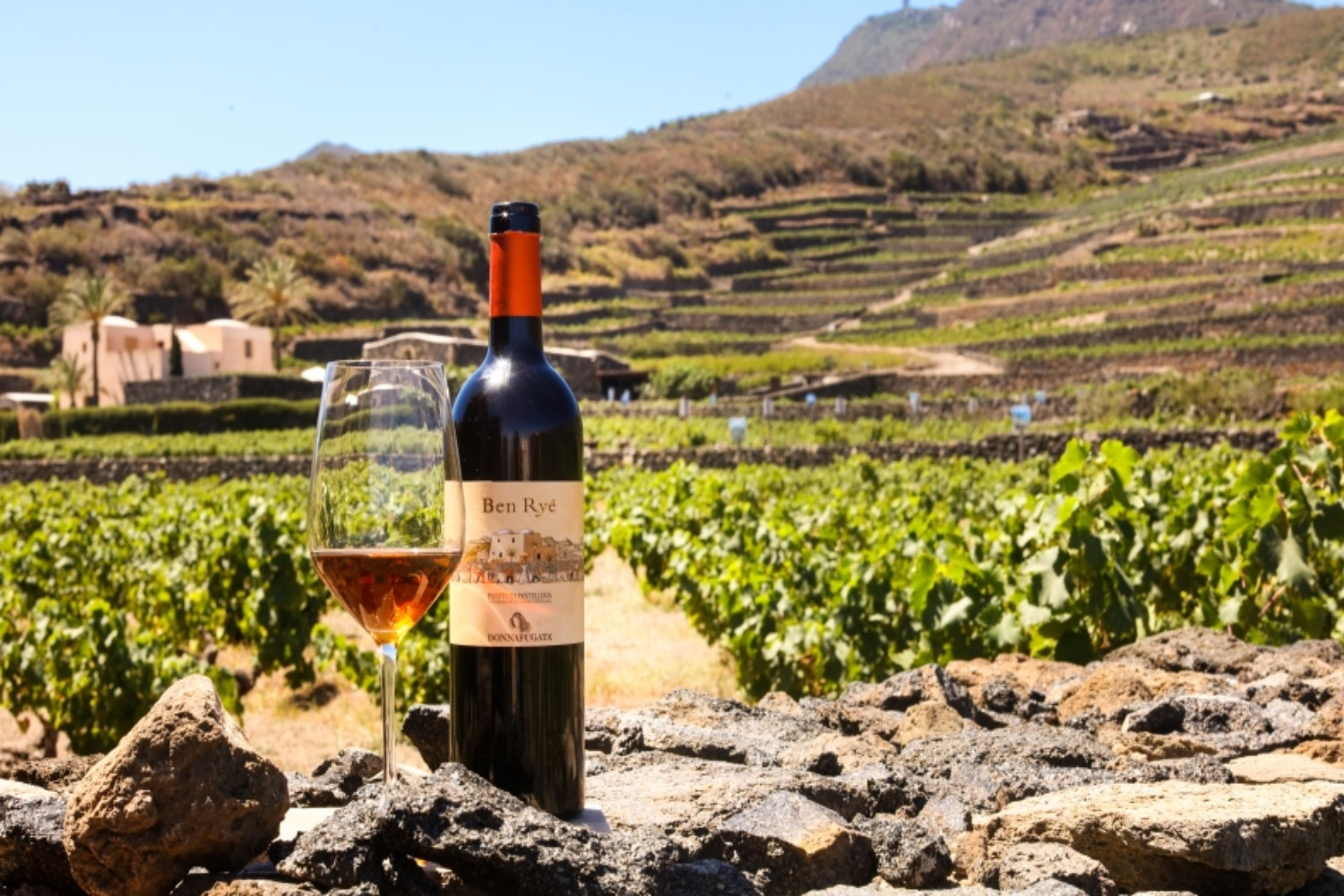 What Makes Ben Ryé by Donnafugata So Special? | MaMaBlip