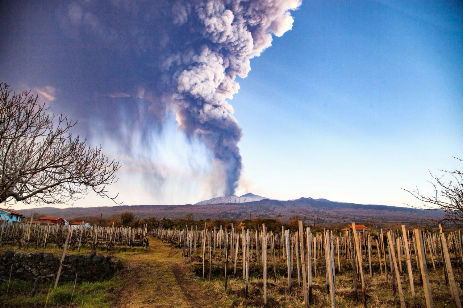 Etna Wine Region, Sicily | MaMaBlip