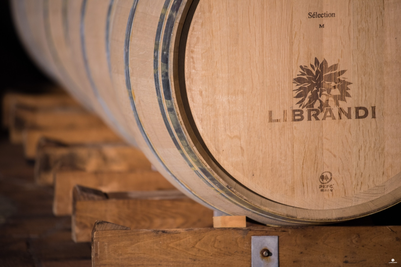 Savor Calabria: The Artistry and Innovation of Librandi Winery’s ...
