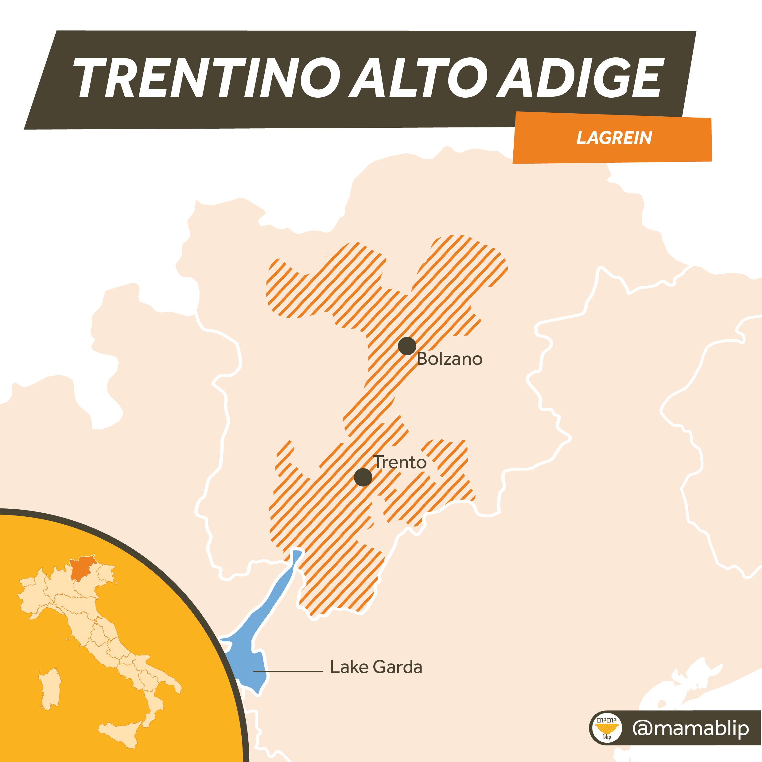 What is Lagrein wine? | MaMaBlip