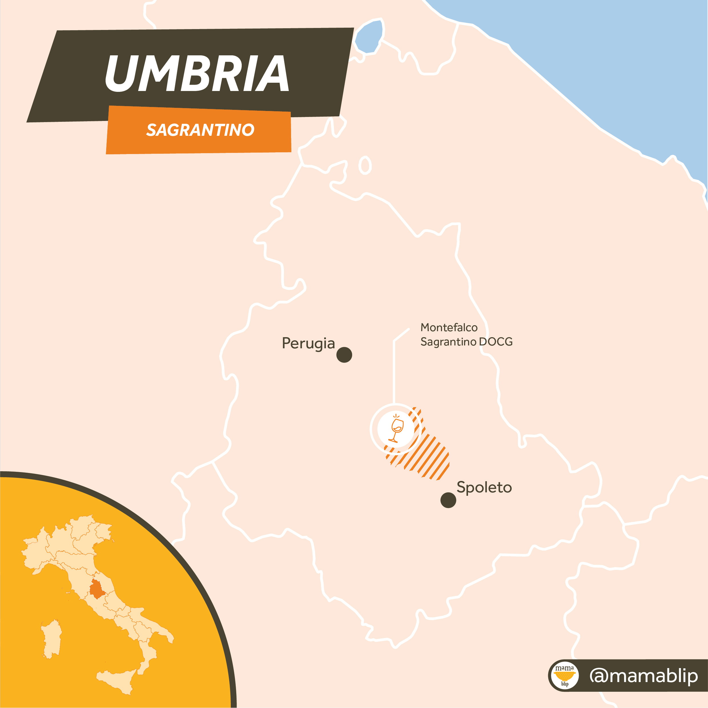 What is Sagrantino wine? | MaMaBlip