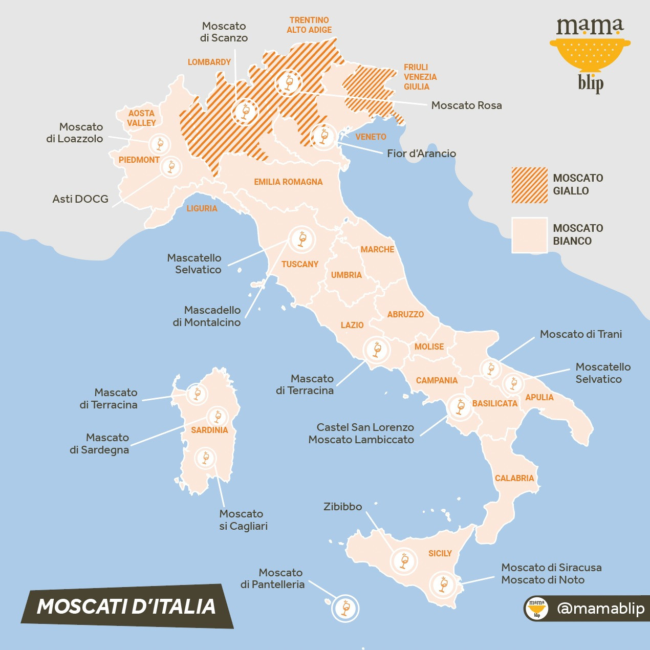 Unveiling Moscato Wine: A Journey Through History, Flavor, and Perfect ...