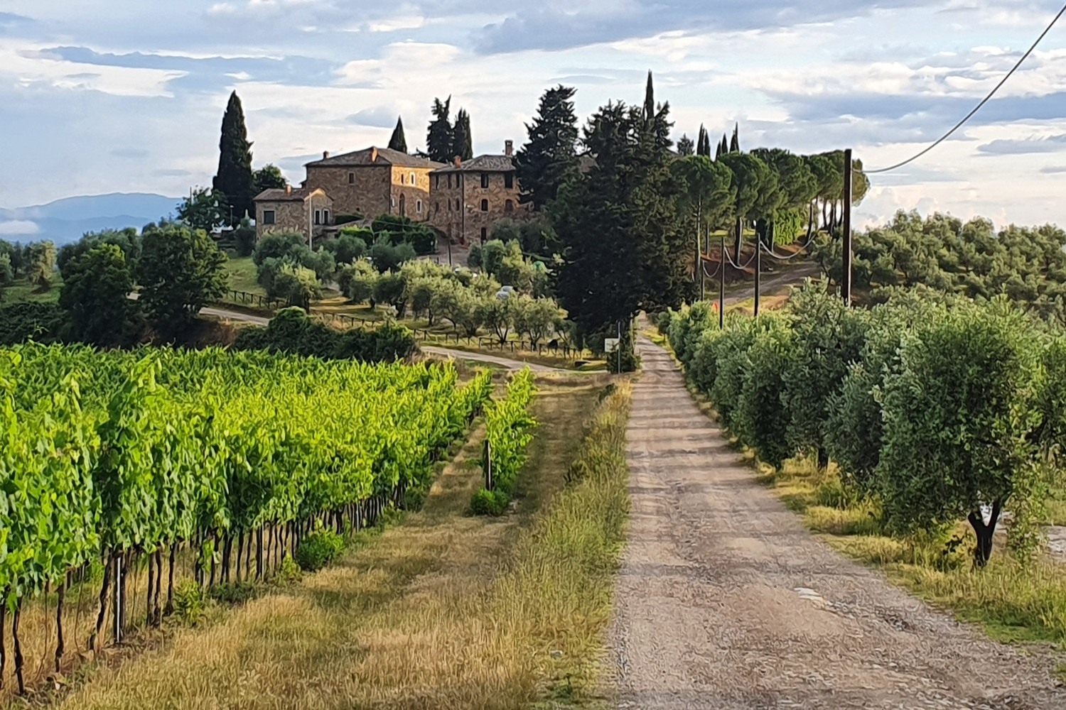 What Makes Borgo di Fizzano Unique? | MaMaBlip