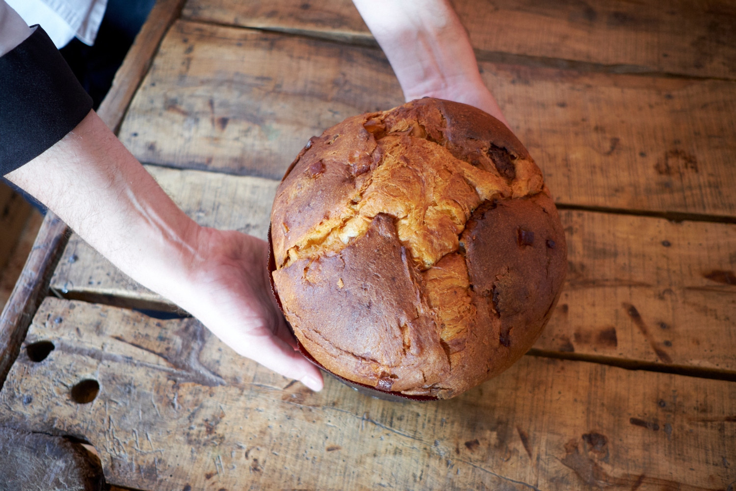 Do Sustainable Panettones Exist? Discover the Decadence of Filippi's ...