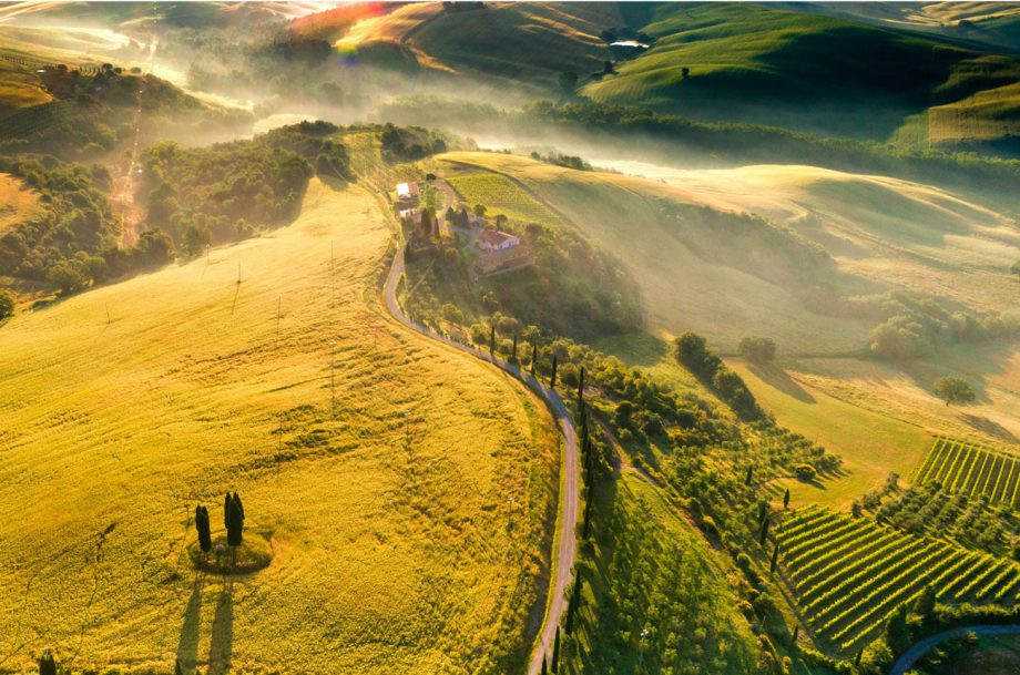 Discovering the Magic of Super Tuscan Wines: An Immersive Journey Into ...
